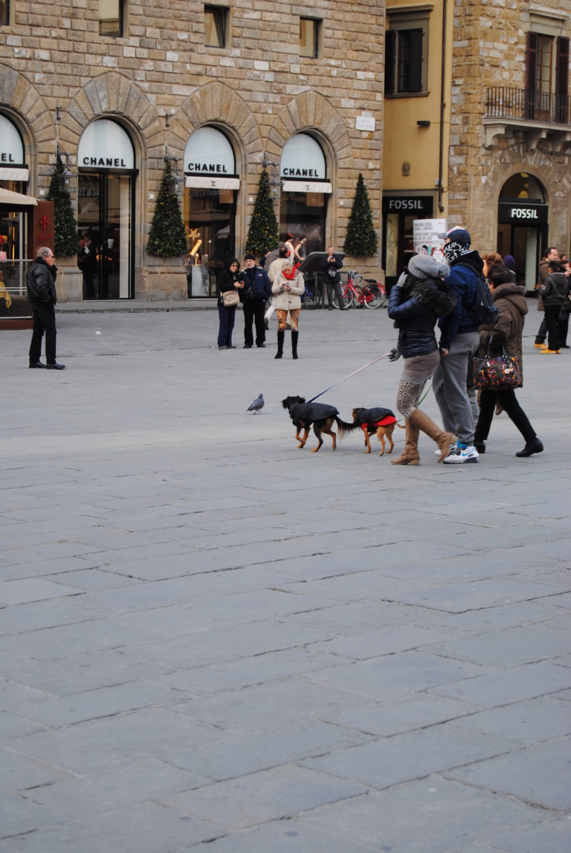 A Table For 2 1/2, Sir. Dogs In Florence, Italy – Living In Italy ...